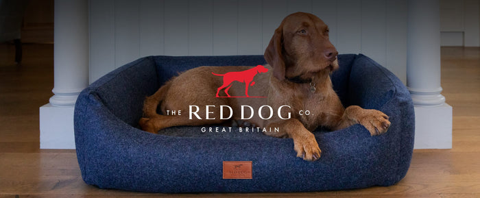 The Red Dog Company